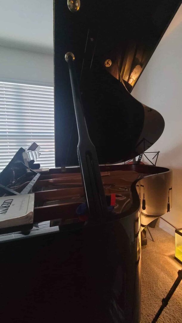 Why Are Pianos So Loud – 11 Factors That Influence Sound – Joshua Ross